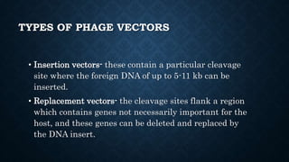 Cloning vectors by Kailash Sontakke | PPTX