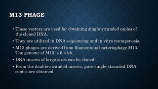 Cloning vectors by Kailash Sontakke | PPT