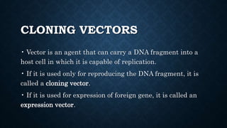 Cloning vectors by Kailash Sontakke | PPTX