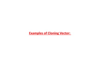 Cloning vectors | PPTX | Chemistry | Science