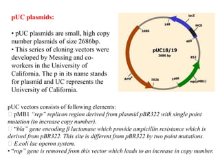 Cloning vectors | PPTX