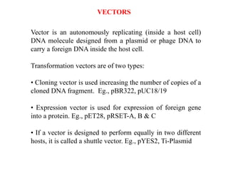 Cloning vectors | PPTX