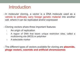 Cloning Vectors.pdf | Genetics | Science
