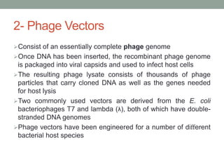Cloning Vectors.pdf