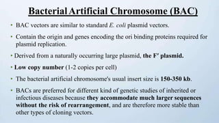 cloning vectors.ppt