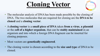 cloning vectors.ppt | Biological Sciences | Science