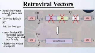 cloning vectors.ppt