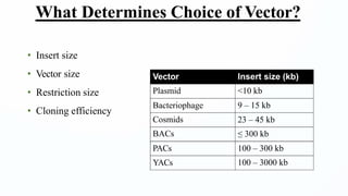 cloning vectors.ppt
