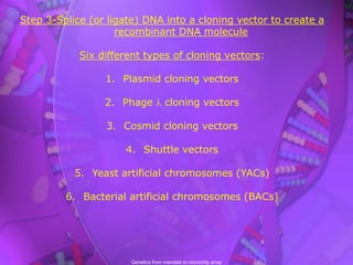 cloning vectors.pdf