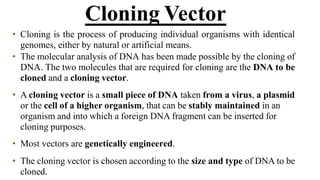 cloning vectors.pptx Biotechnology Notes | PPTX