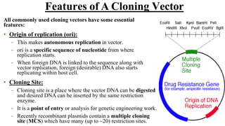 cloning vectors.pptx Biotechnology Notes | PPTX
