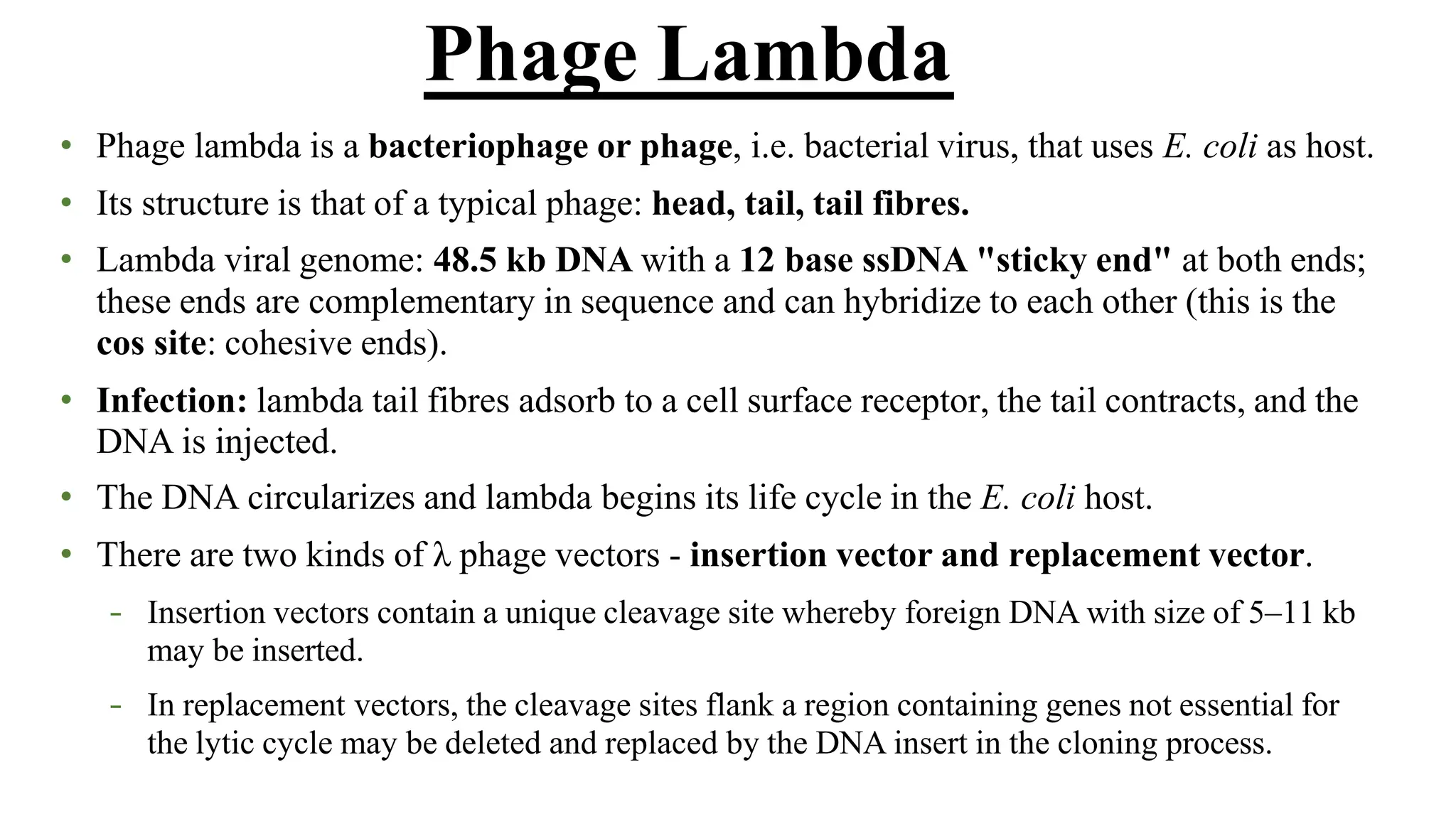 cloning vectors.pptx Biotechnology class | PPTX