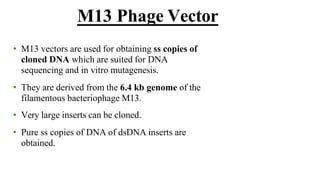 cloning vectors.pptx Biotechnology class | PPTX