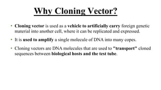 cloning vectors.pptx Biotechnology class | PPTX
