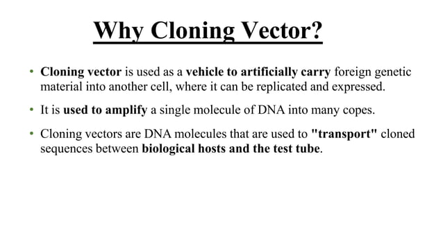 cloning vectors.pptx Biotechnology class | PPTX | Biological Sciences ...