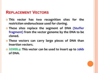 cloning vectors and their role in genetic engineering | PPT