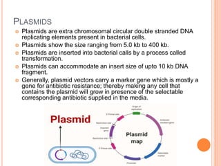 cloning vectors and their role in genetic engineering | PPT