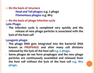 cloning vectors and their role in genetic engineering | PPTX