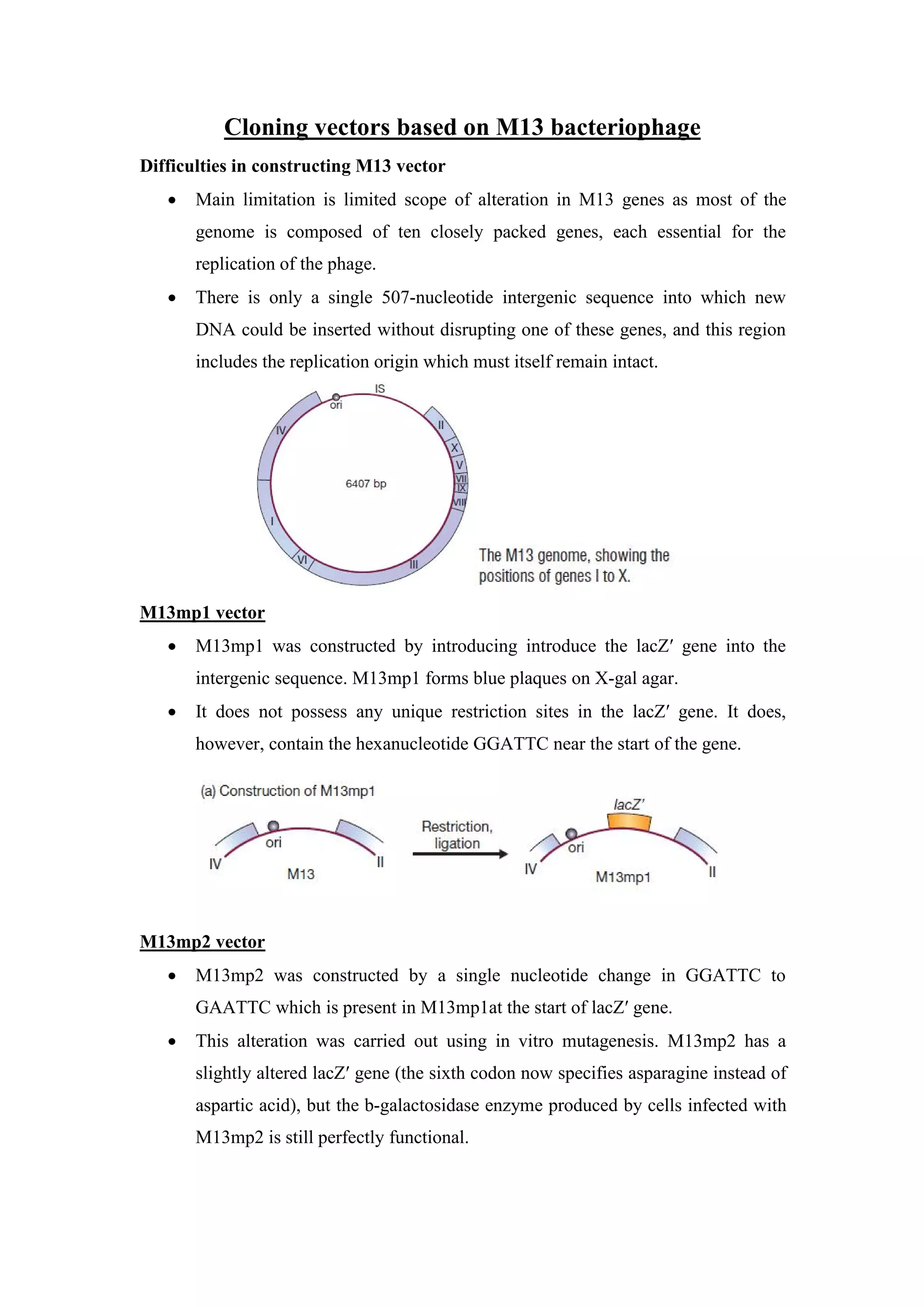 Cloning vectors based on m13 and lambda bacteriophage | PDF