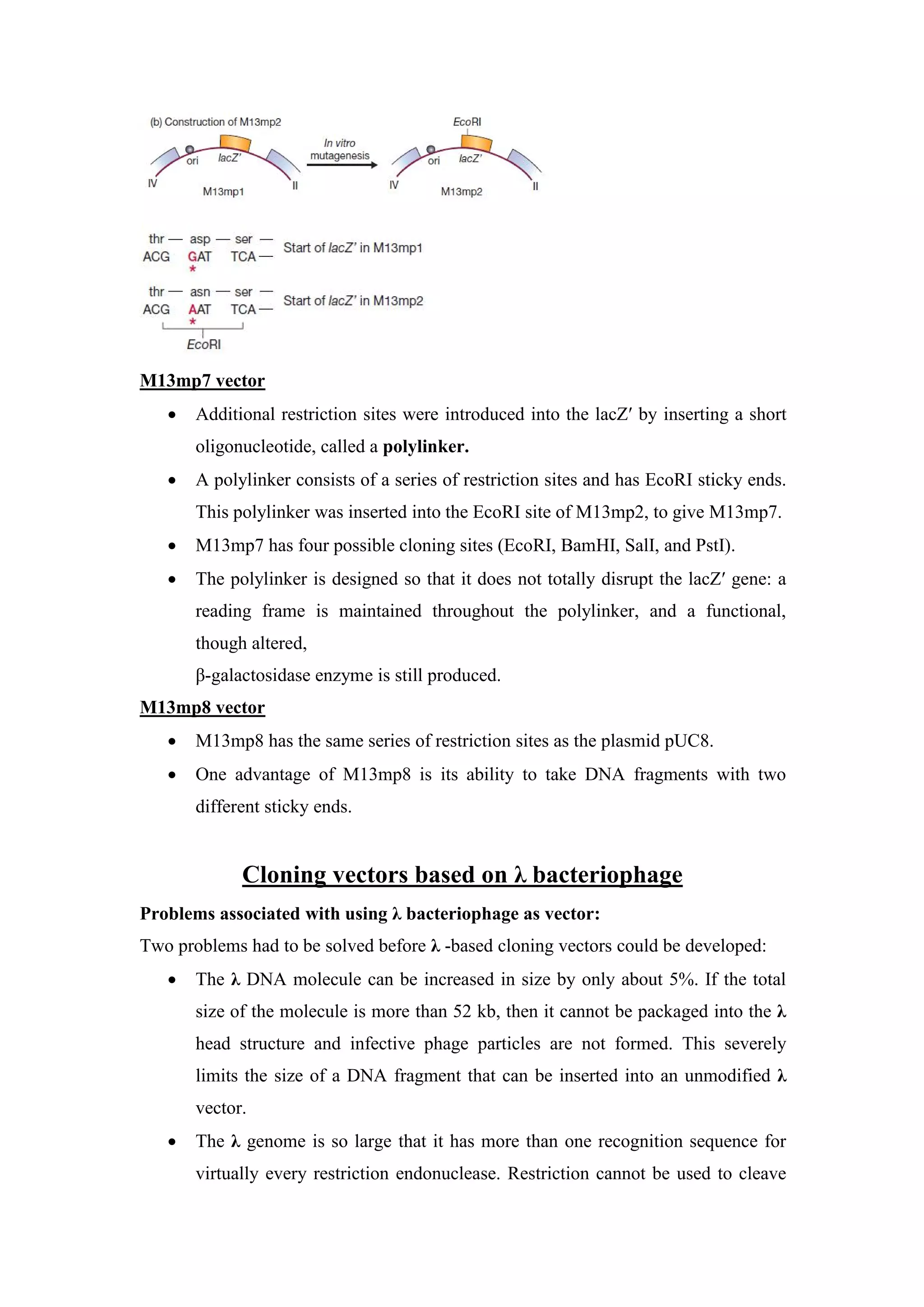 Cloning vectors based on m13 and lambda bacteriophage | PDF