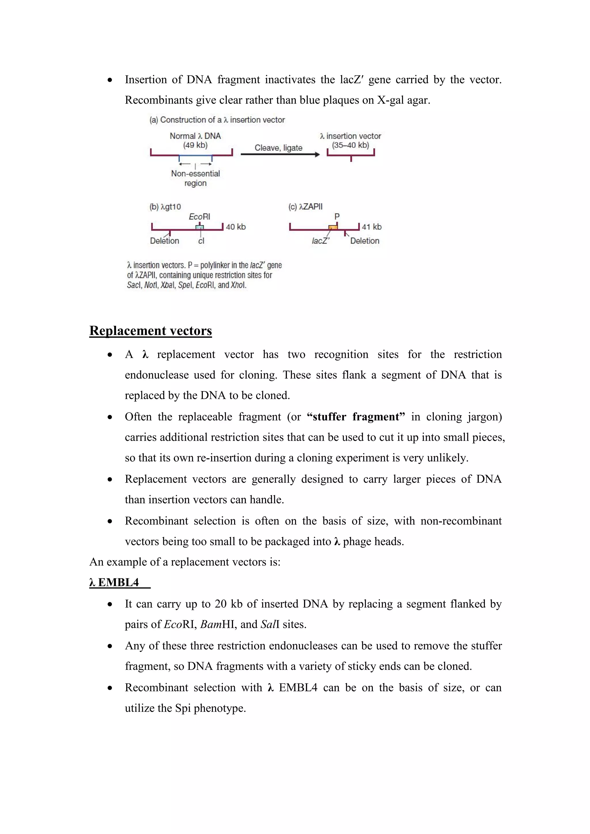 Cloning vectors based on m13 and lambda bacteriophage | PDF