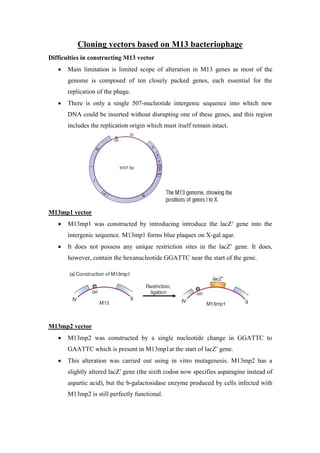 Cloning vectors based on m13 and lambda bacteriophage | PDF | Genetics ...