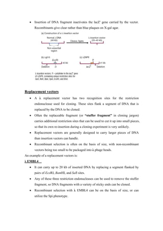 Cloning vectors based on m13 and lambda bacteriophage | PDF | Genetics ...