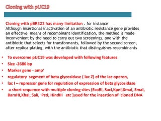 Cloning vector series 1 | PPT | Biological Sciences | Science