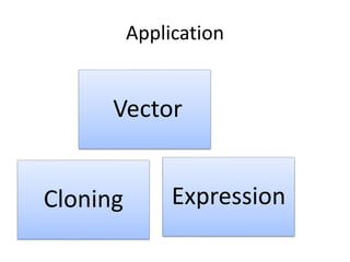 Cloning vector series 1 | PPT | Biological Sciences | Science