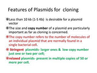 Cloning vector series 1 | PPT | Biological Sciences | Science