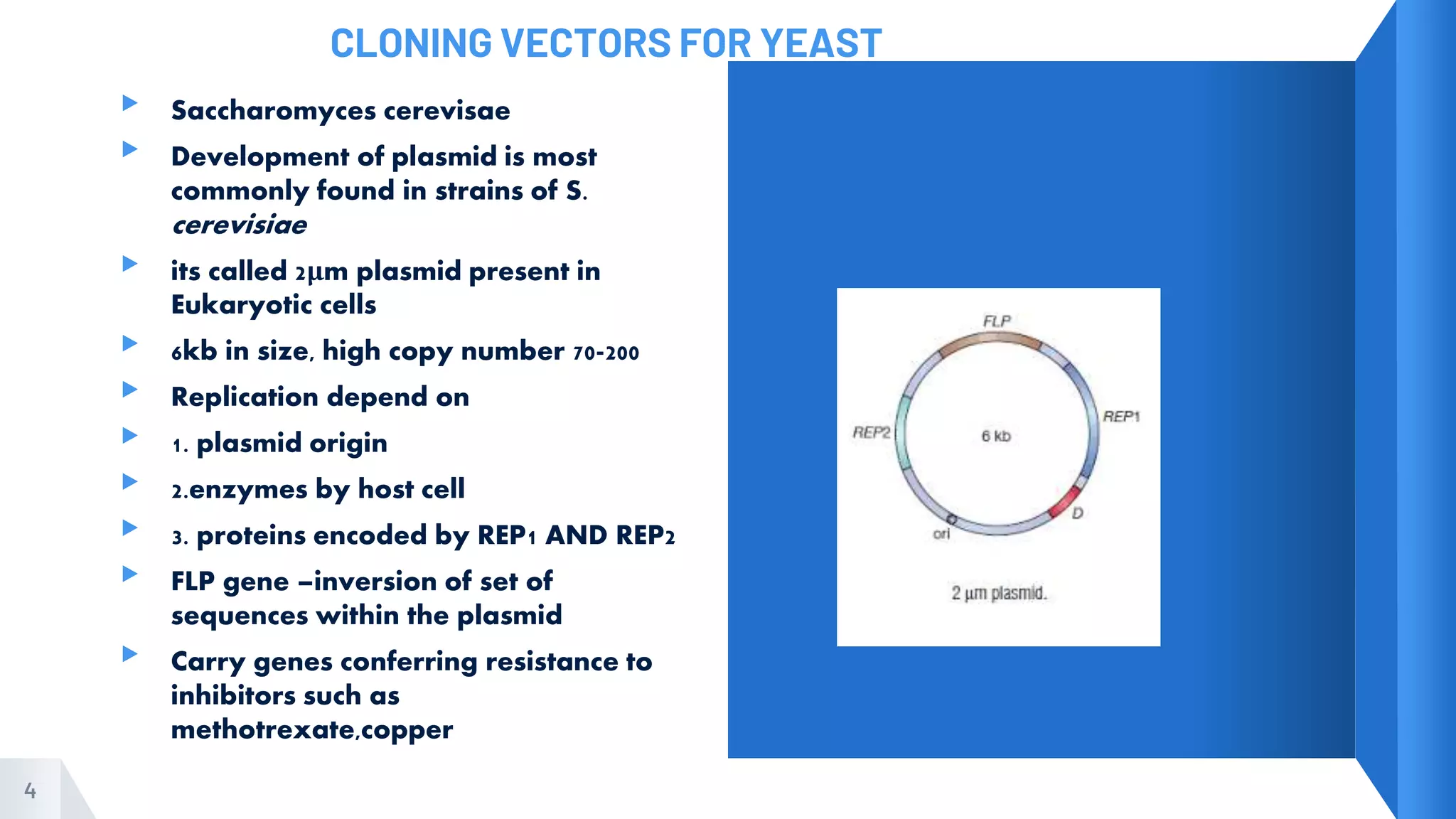 CLONING VECTORS FOR YEAST AND Agrobacterium tumefaciens.pptx ...
