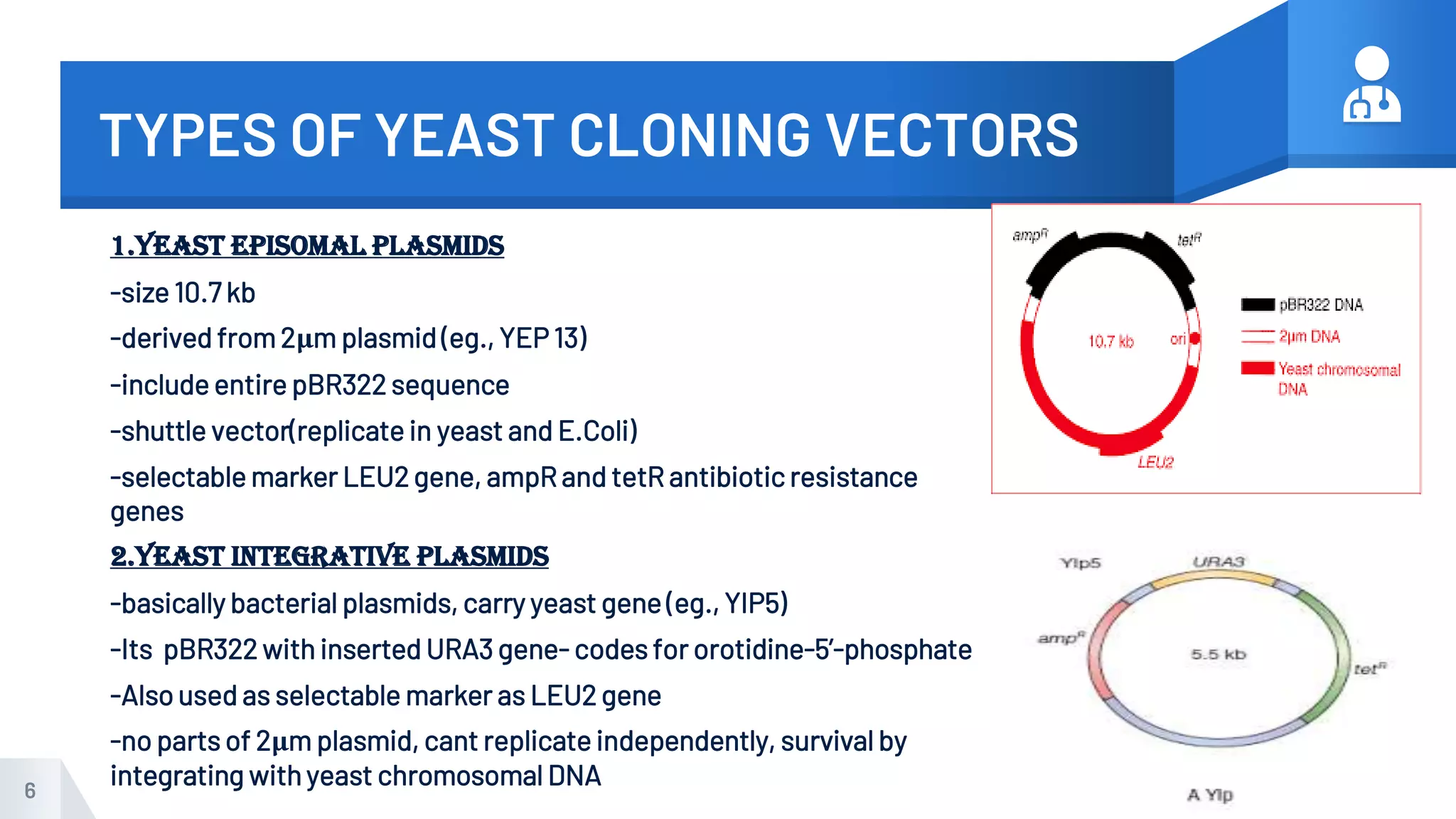 CLONING VECTORS FOR YEAST AND Agrobacterium tumefaciens.pptx ...