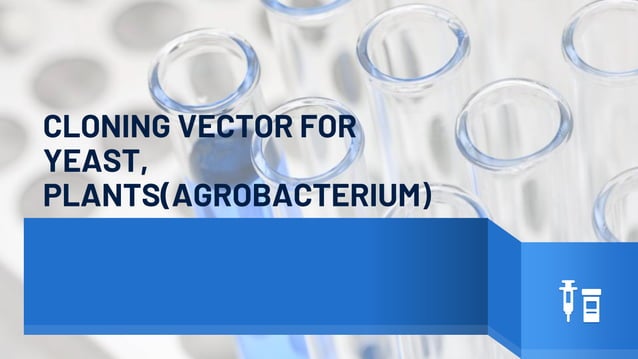 CLONING VECTORS FOR YEAST AND Agrobacterium tumefaciens.pptx ...