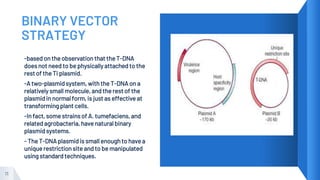 CLONING VECTORS FOR YEAST AND Agrobacterium tumefaciens.pptx ...
