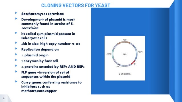 CLONING VECTORS FOR YEAST AND Agrobacterium tumefaciens.pptx ...