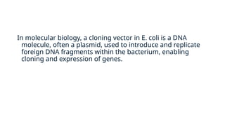 Cloning Vectors of E. Coli in zoology.pptx