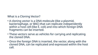 Cloning Vectors of E. Coli in zoology.pptx