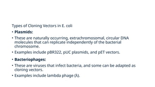 Cloning Vectors of E. Coli in zoology.pptx