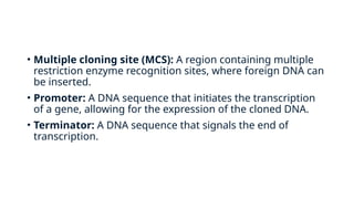 Cloning Vectors of E. Coli in zoology.pptx