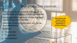 Cloning Vectors (plasmid).pdf