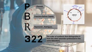Cloning Vectors (plasmid).pdf