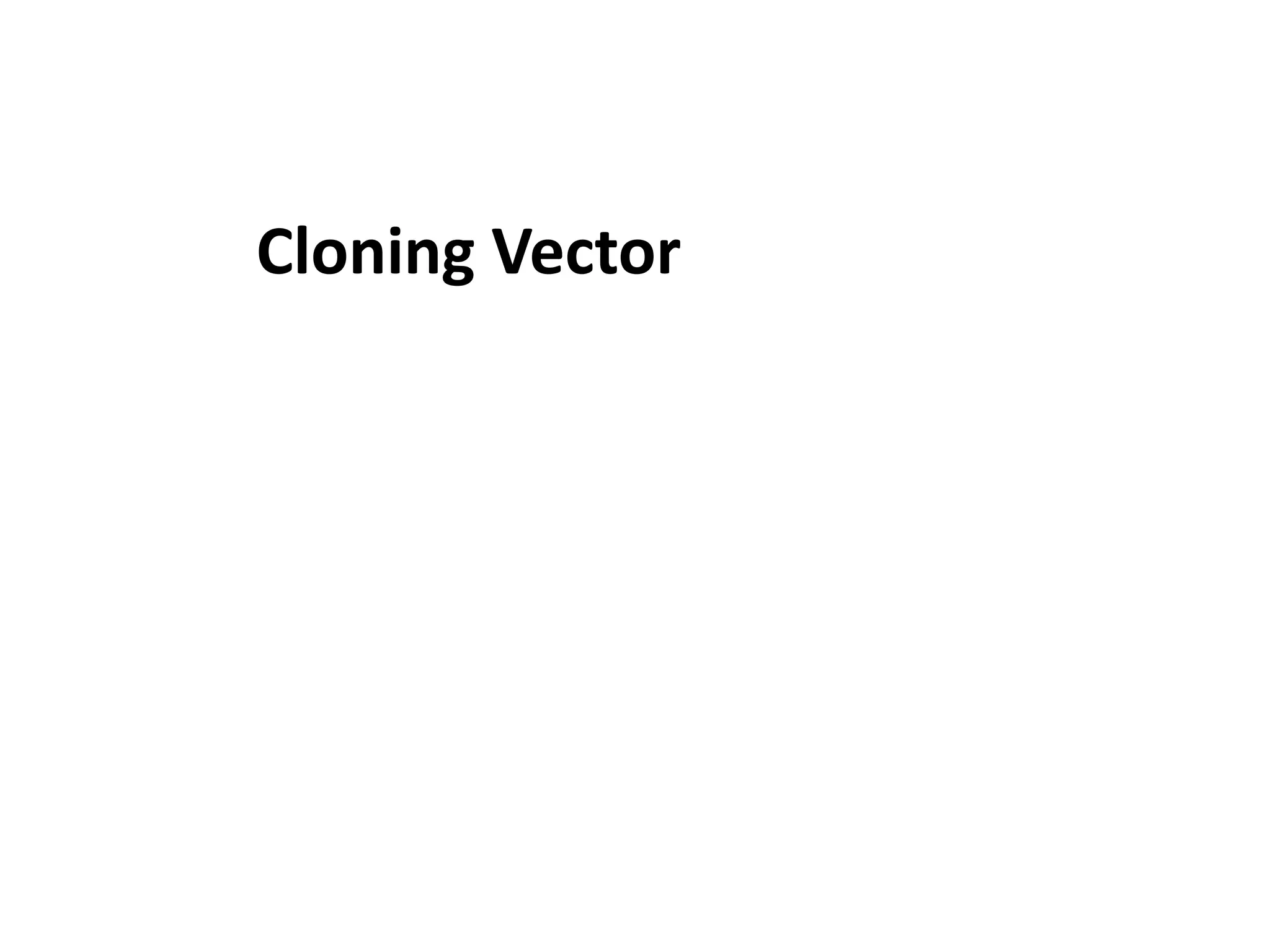 clonning vectors.pptx