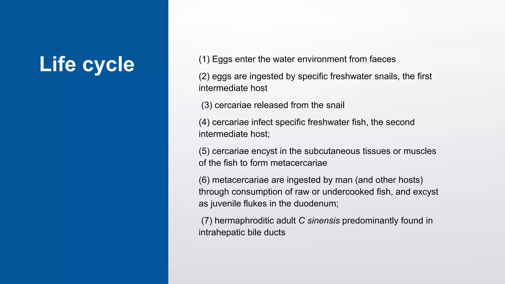 Clonorchiasis | PPTX