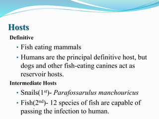 Clonorchis sinensis - Oriental Liver Flukes | PPTX | Digestive ...