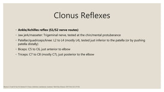 Clonus | PPT