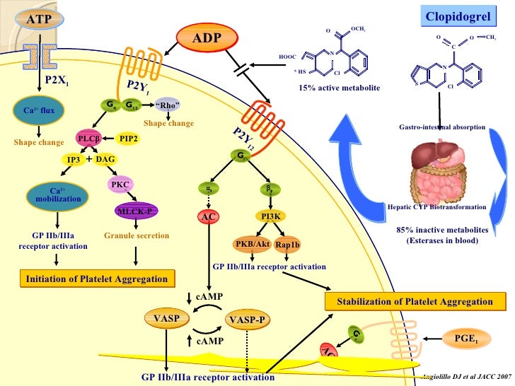 Clopidogrel (plavix)