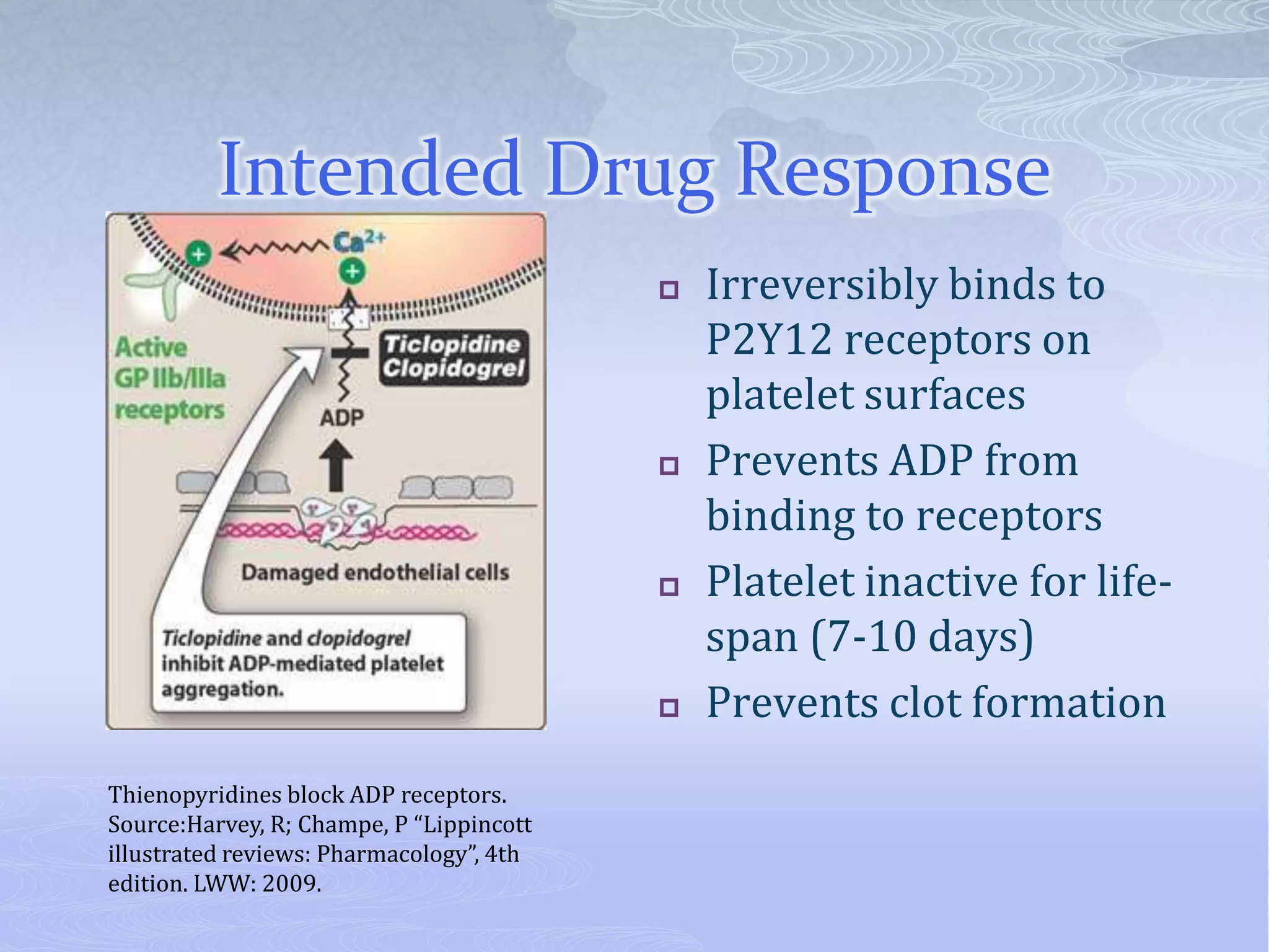 Clopidogrel (plavix®) presentation | PPTX