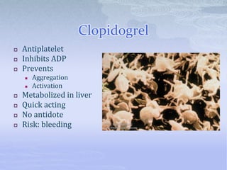 Clopidogrel (plavix®) presentation | PPTX