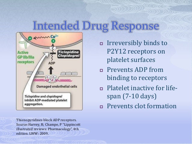 Clopidogrel (plavix®) presentation