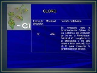 bioelemento cloro | PPTX